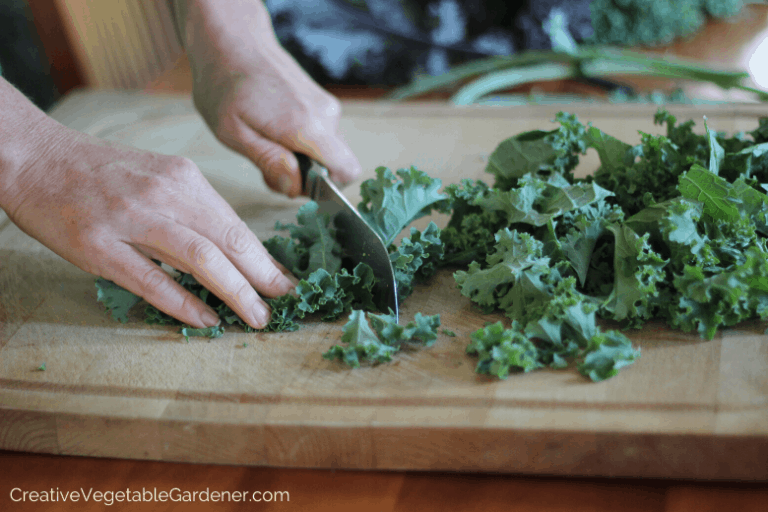 Creative Vegetable Gardener:Greatest Way to Quickly Freeze Kale