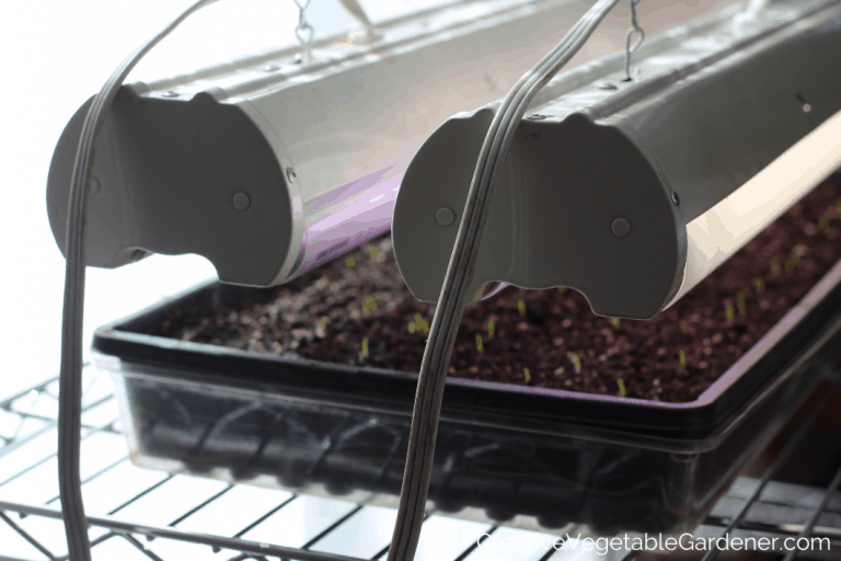 Led Grow Lights For Vegetable Seedlings At Lucille Lozier Blog